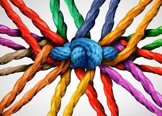 Eight interdisciplinary projects receive cross-academy APEX awards